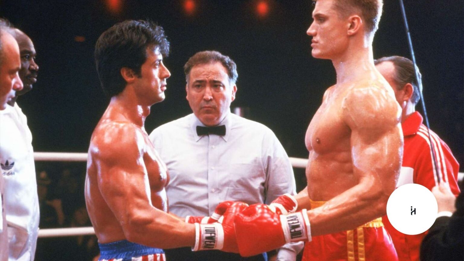 Dolph Lundgren IQ – The Genius Behind the Action Star ...