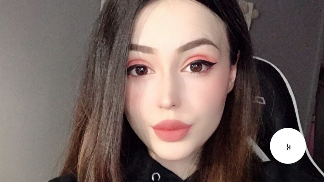 Veibae Face – The Truth Behind the VTuber’s Identity - imaginaryhistory.com